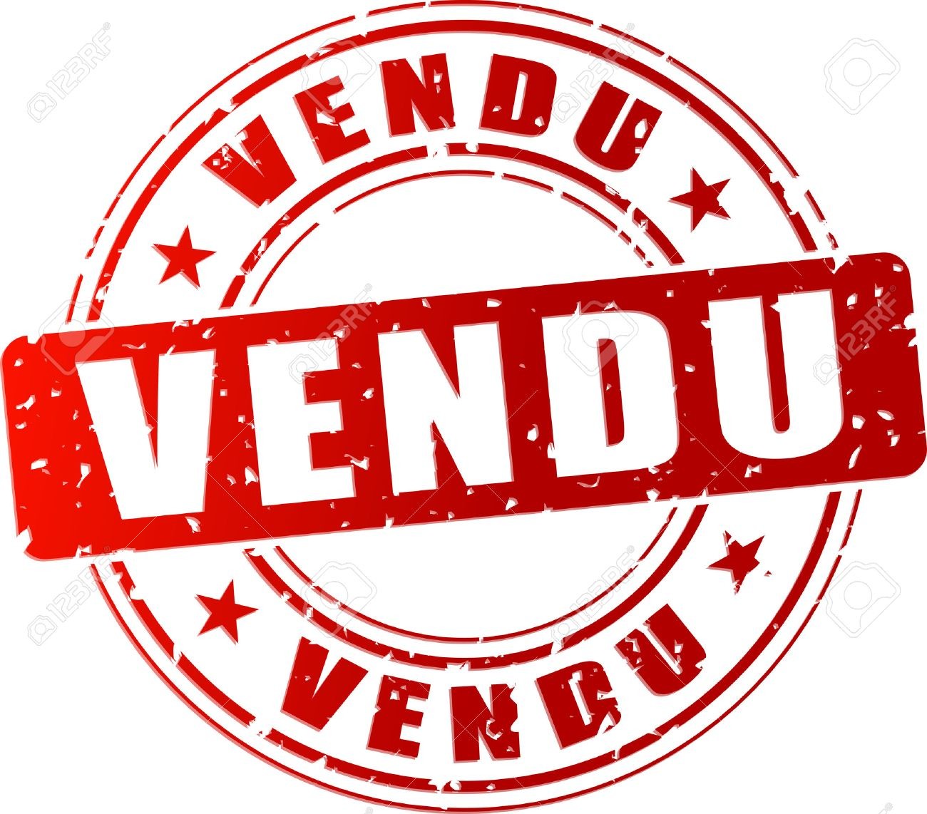 vendu - Association du New Forest et New Forest de croisement