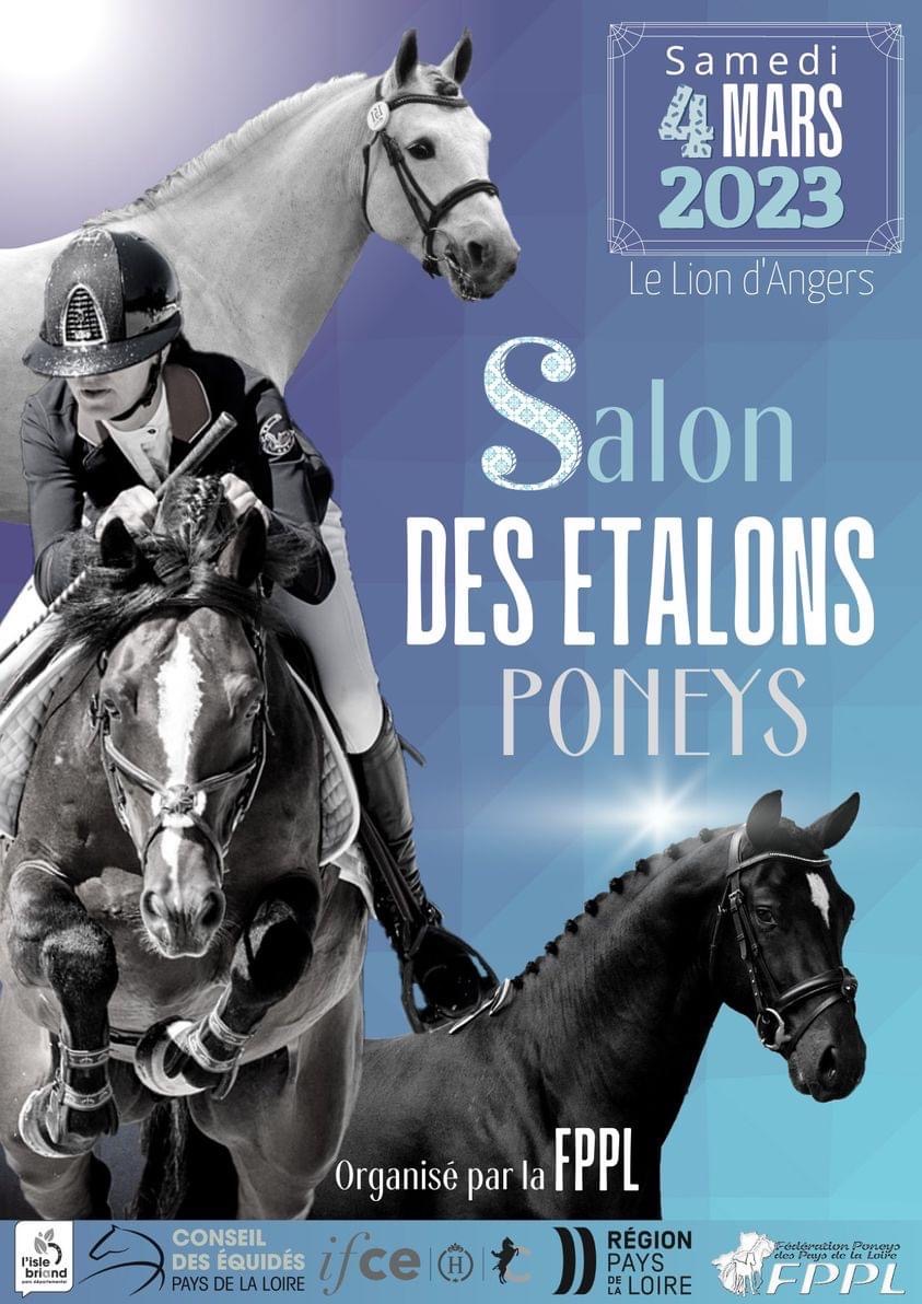 Salon des étalons FPPL 2023 - Association du New Forest et New Forest ...
